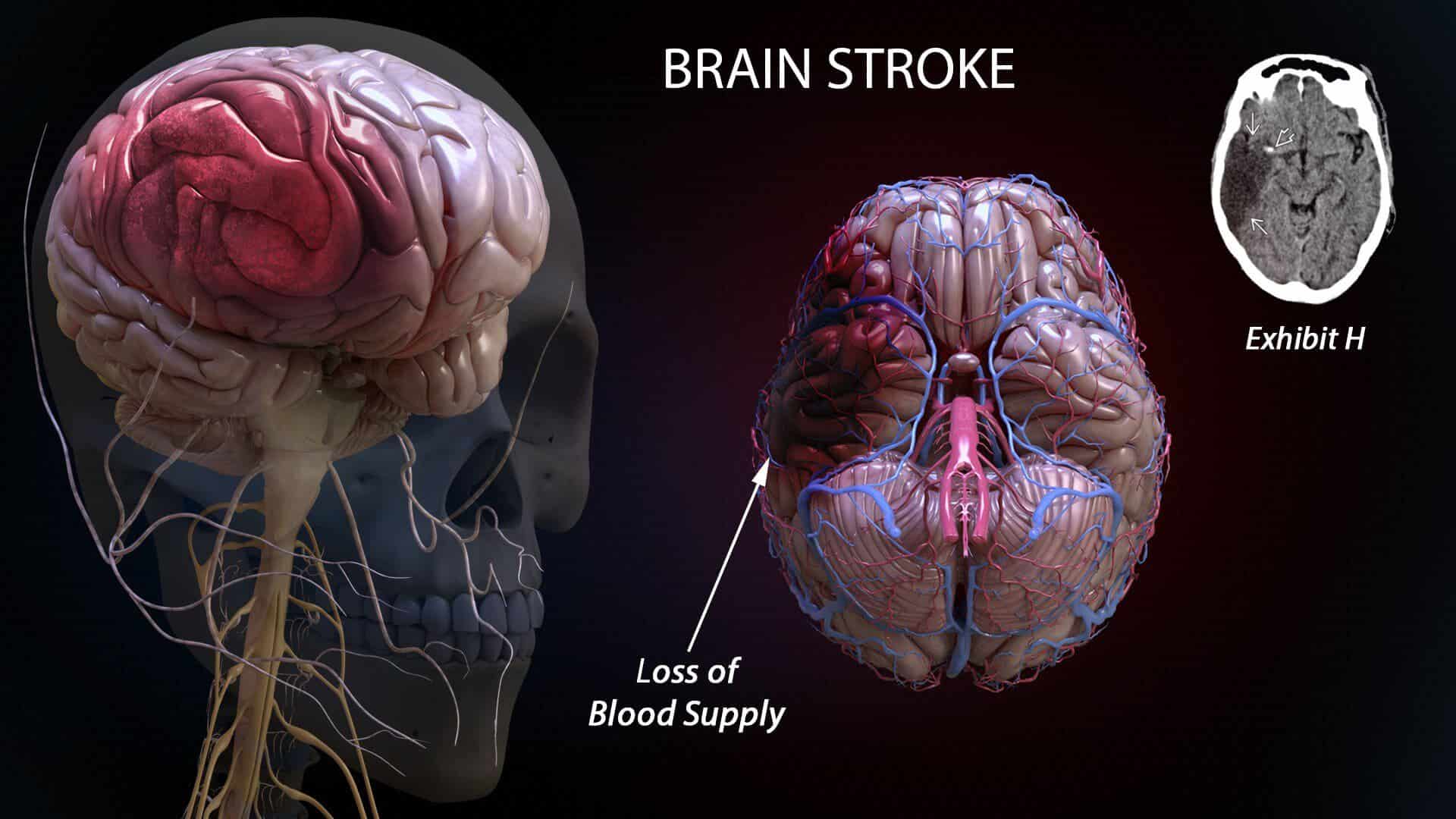 Fox Animated Engineering - Trial Graphic Possibilities