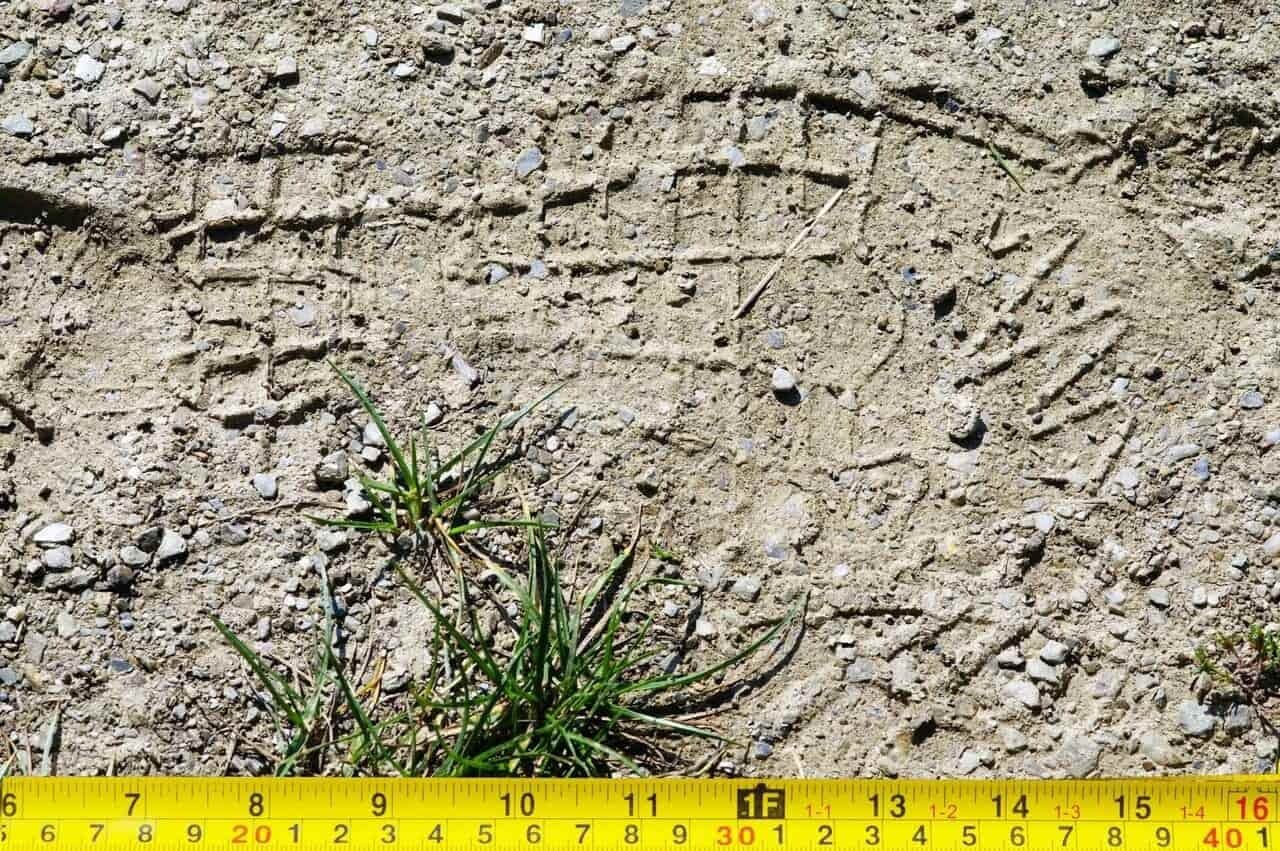 Questioning Reliability in Forensic Animation? Read This!