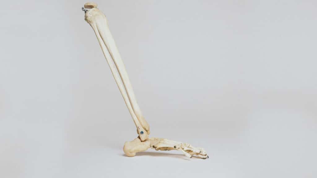 The Perks Of Using A Tibial Fracture Animation During Trial