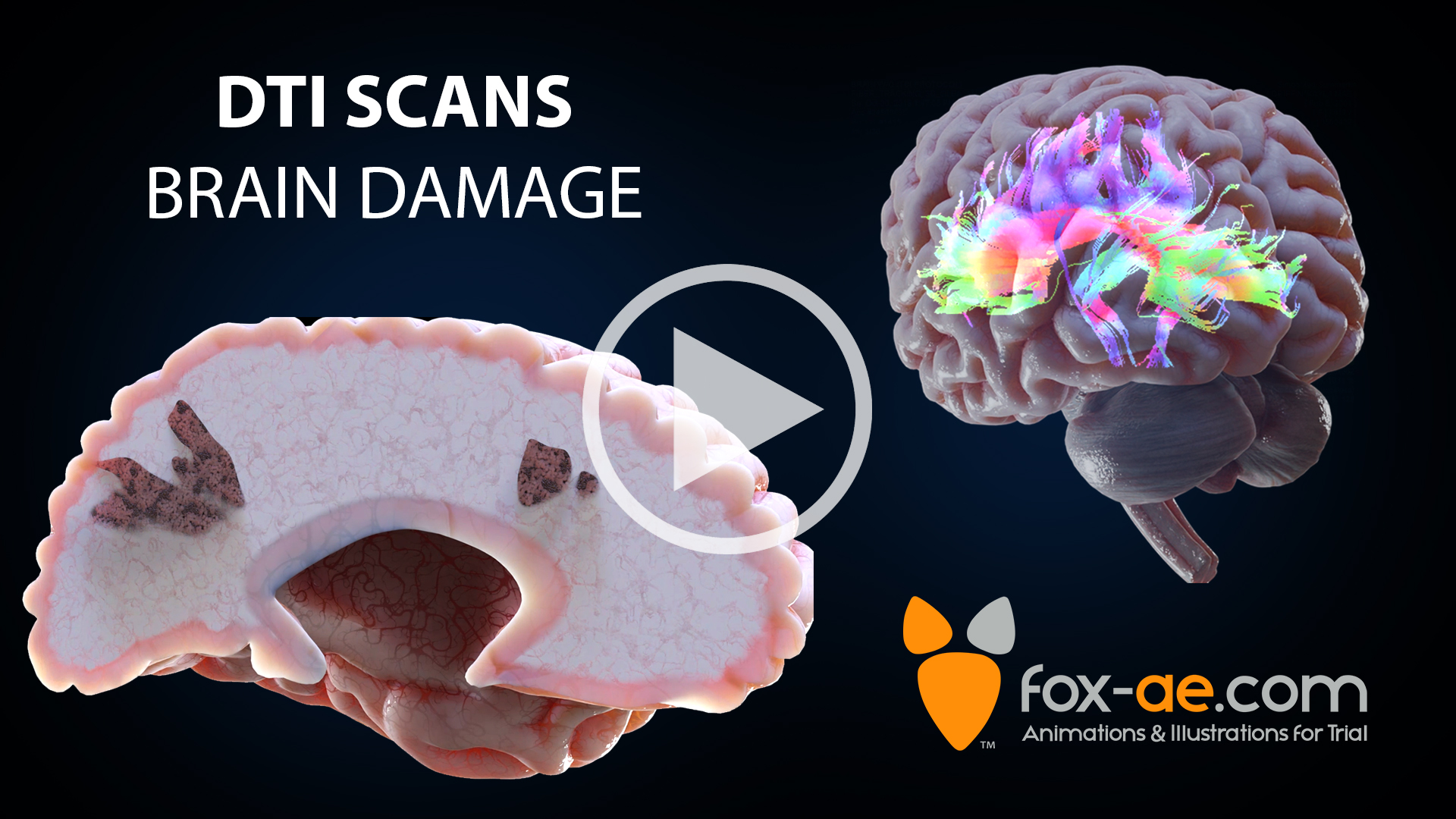 Vascular System and Carbon Monoxide Damages